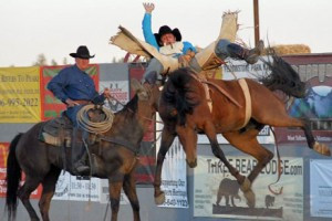 Big Sky Horseback Riding, Horse Trail Rides - AllTrips